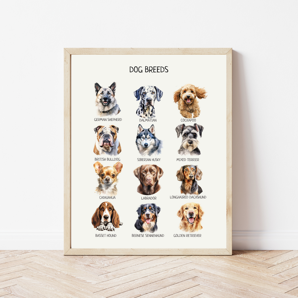 Educational Dog Breeds Poster for Nursery & Classroom | MontessoRu